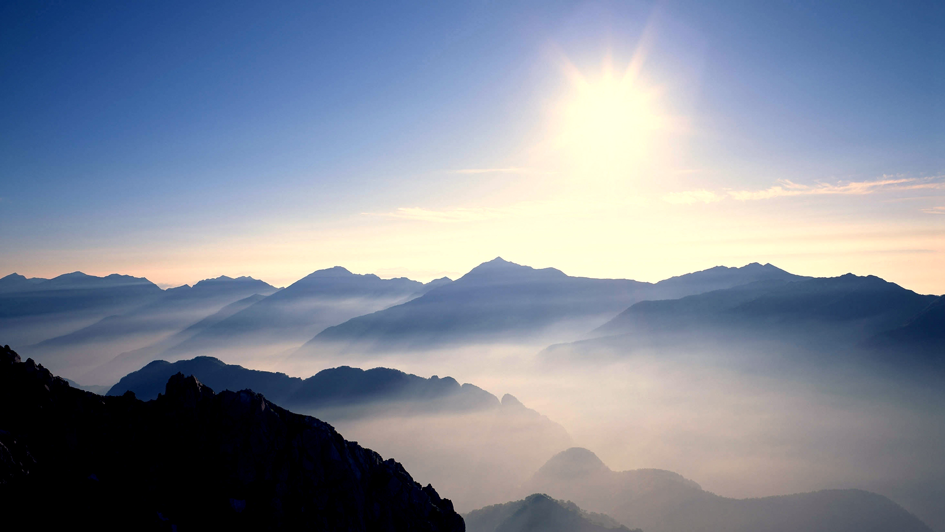 Home [www.dukeduvall.com]