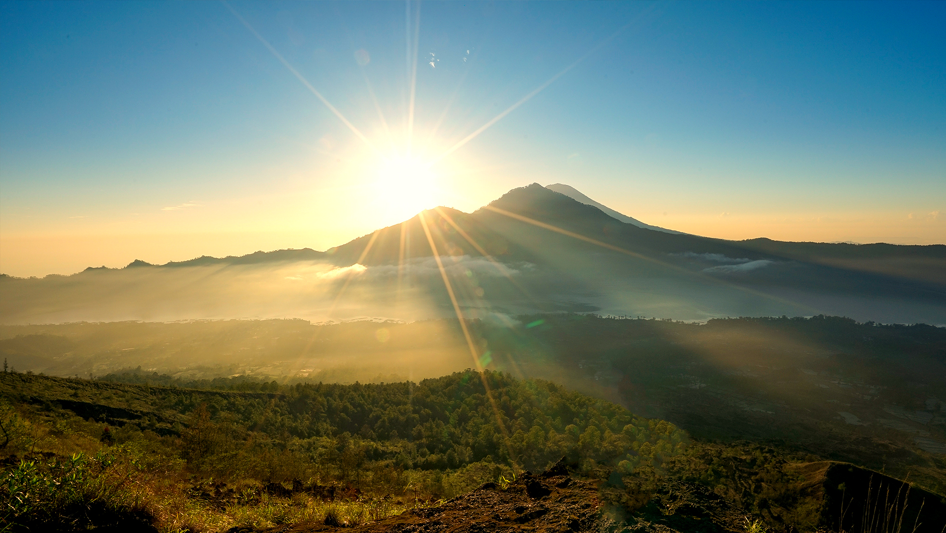 Home [www.dukeduvall.com]