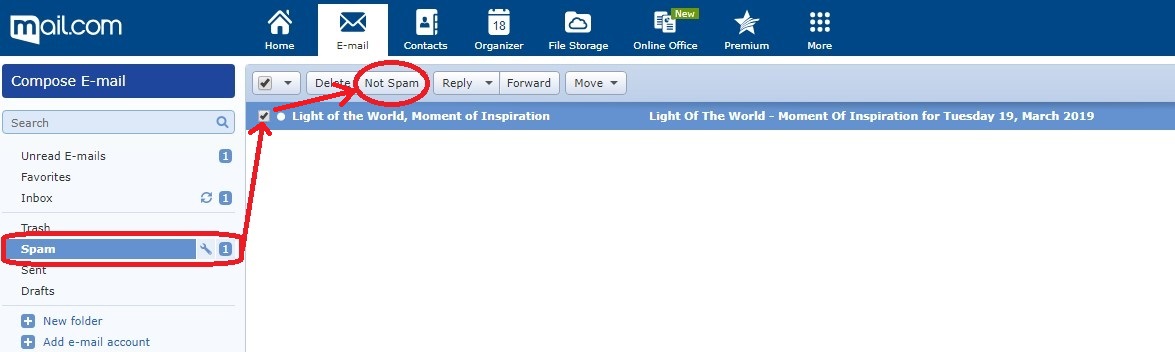 How to "whitelist" DukeDuVall.com to keep your Light Of The World ...